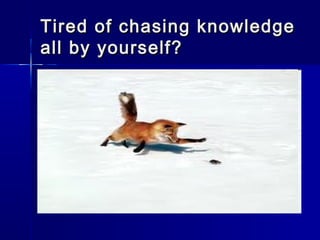 Collective intelligence | PPT