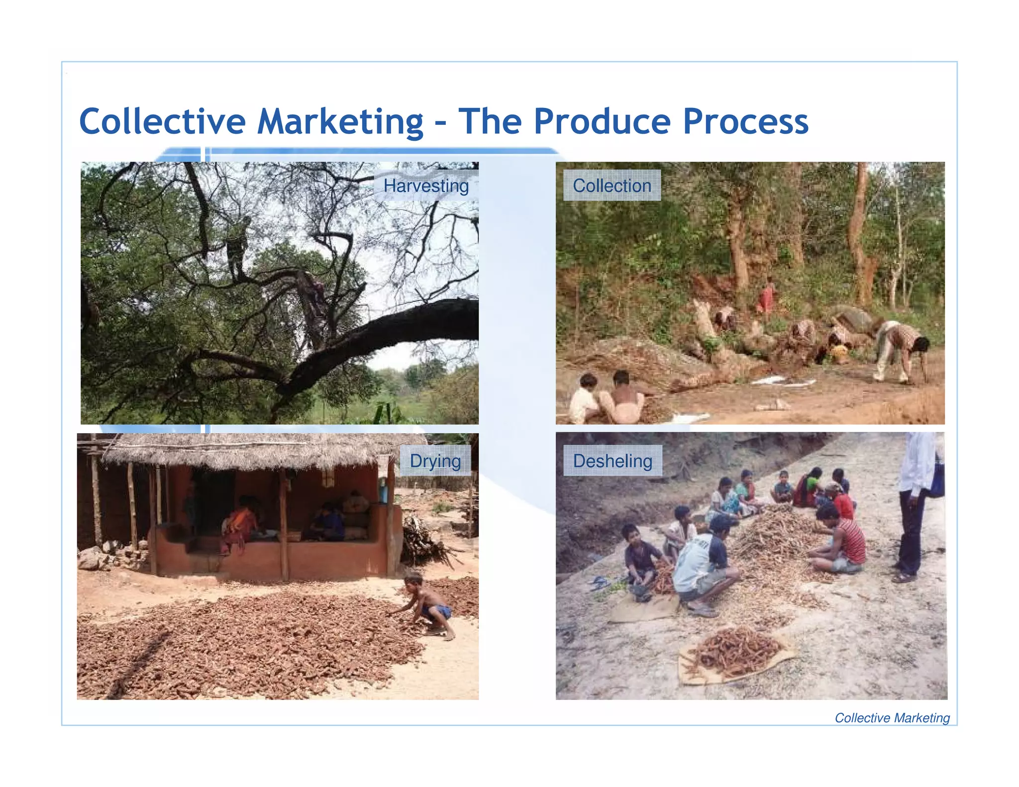 Collective marketing ppt | PDF