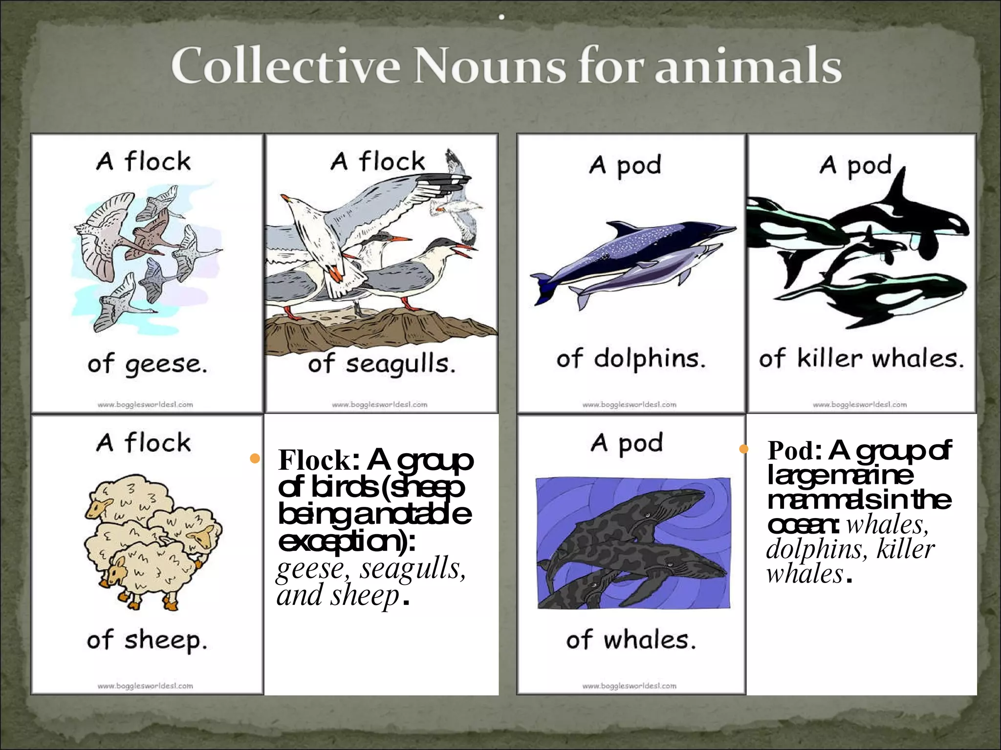Collective Nouns | PPT