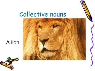 Collective Nouns | PPT