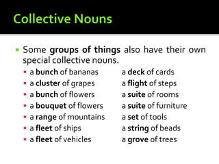 Collective nouns | PPTX