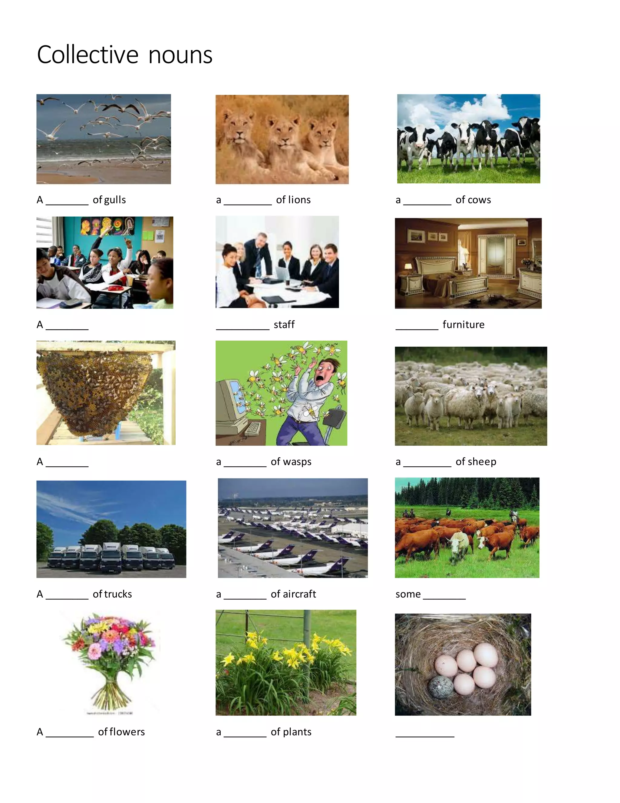 Collective nouns | DOCX