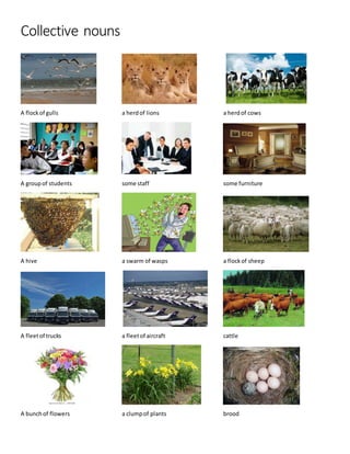 Collective nouns | DOCX