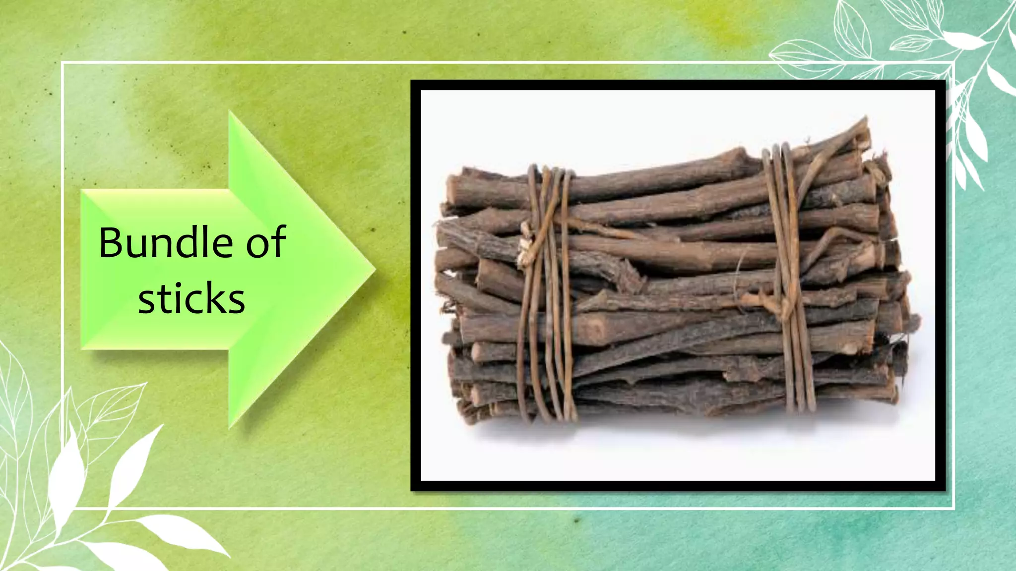 Collective nouns | PPT