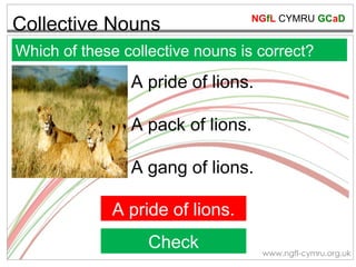 Collective Nouns English Grade 5 PowerPoint Presentation | PPT