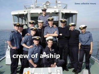 Collective nouns | PPT