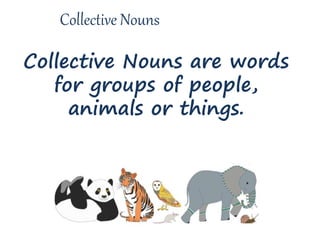Collective nouns | PPTX