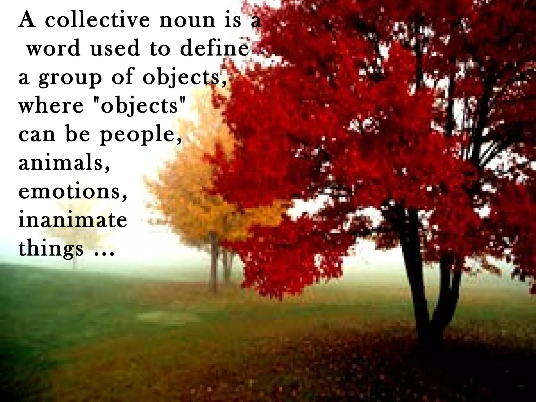 Collective nouns(flying together) | PPT