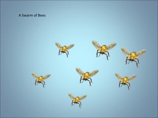 Collective nouns(flying together) | PPT