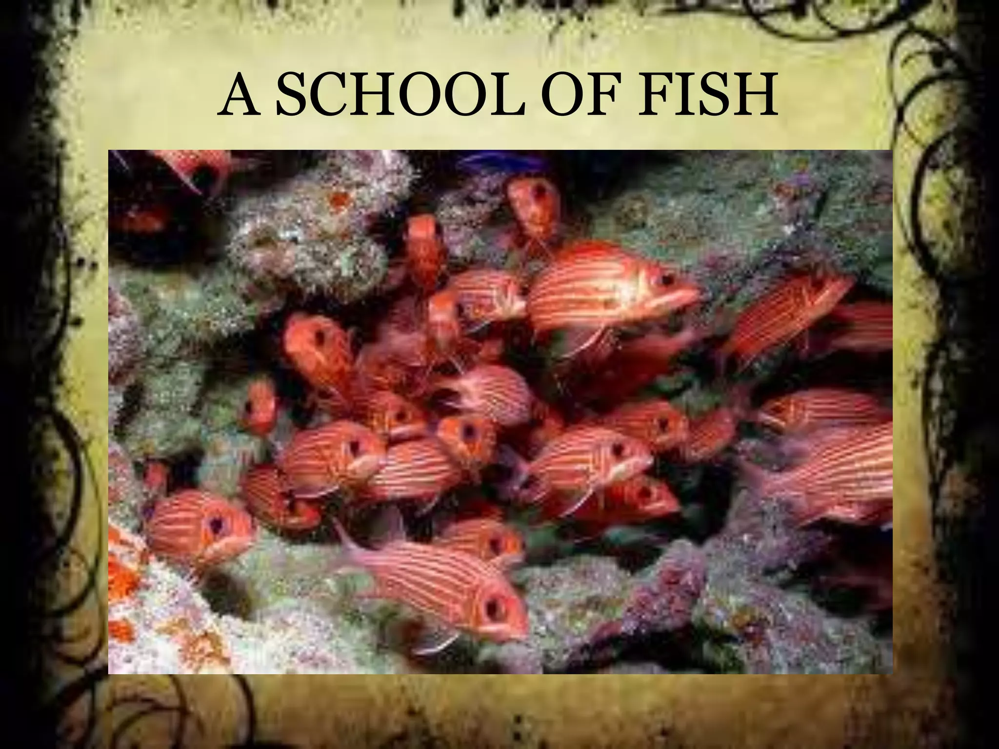 Collective nouns game | PPTX