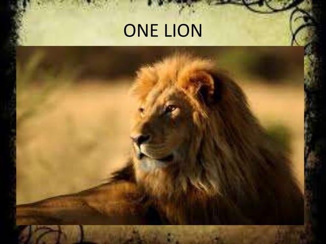 Collective nouns game | PPTX