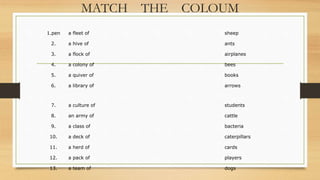 Collective nouns ppt | PPTX