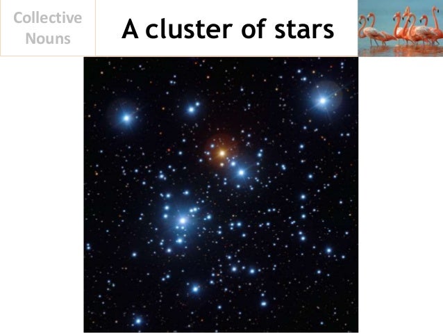 Collective Nouns