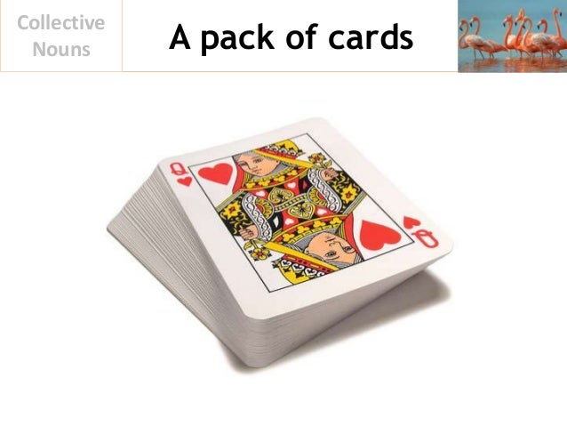 A Clump Of Collective Noun - farez