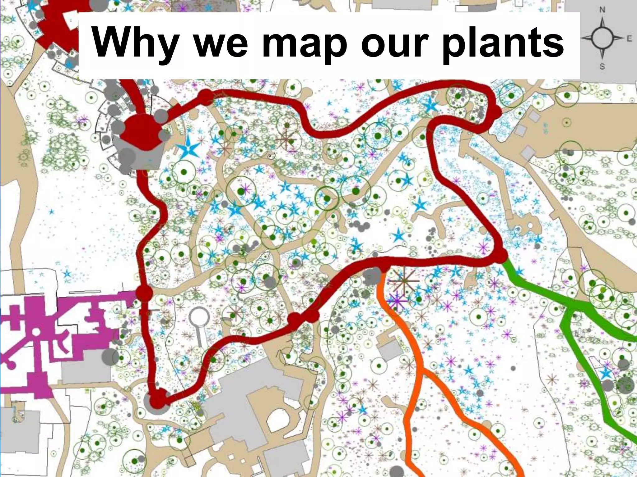 Collector for ArcGIS for Maintaining Botanical Garden Plant Records | PPTX