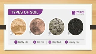 Collect Soil Samples .pptx