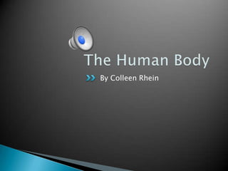 Colleen body | PPT