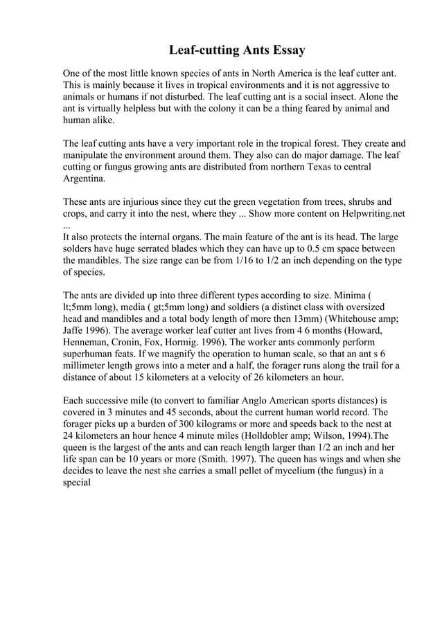 College Admission Essay Format Example | PDF