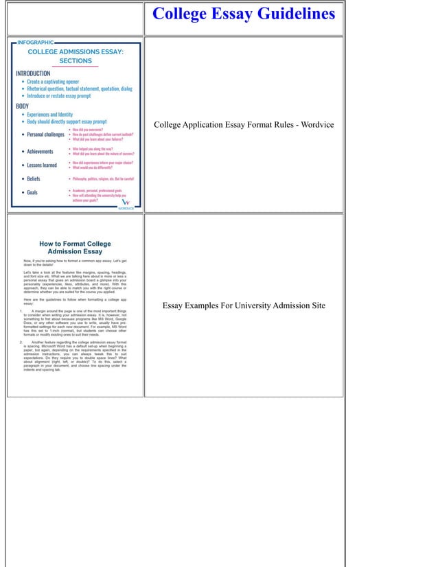 College Essay Guidelines | PDF | Free Download