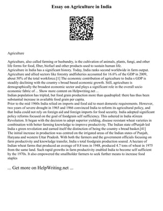 College Essay Outline Best Ess | PDF