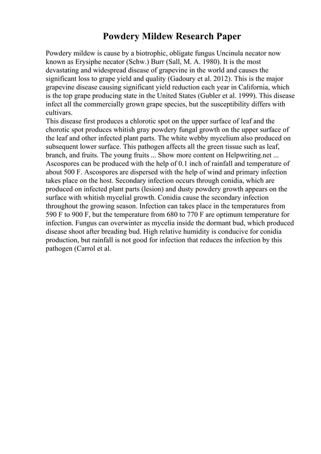 College Essay Personal Statement Examples | PDF