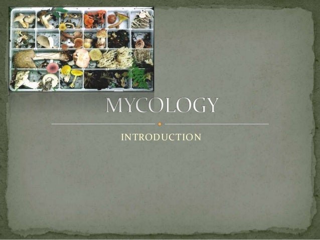 Introductory Mycology Alexopoulos Pdf - operfflo