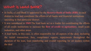 College of agriculture , presentation on lead bank | PPTX