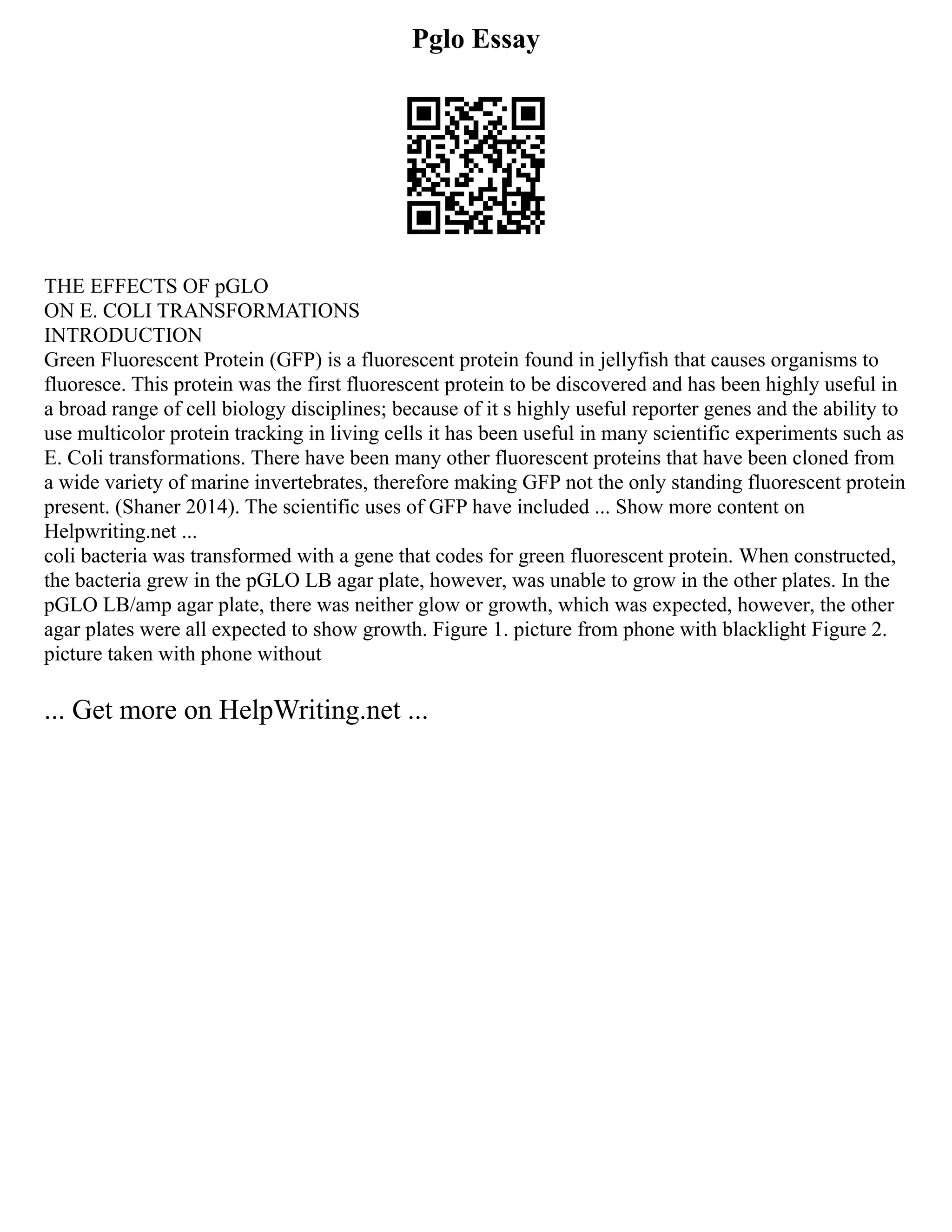 College Position Paper Format Standard Font Fo.pdfCollege Position ...