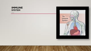 Anatomy and physiology immunity topic presentation | PPTX
