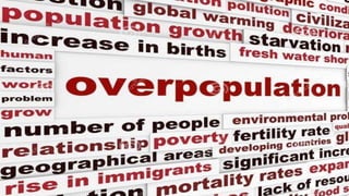 Overpopulation | PPTX