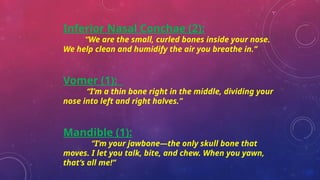 College Project 1 (Human Skull & The main muscles).pptx