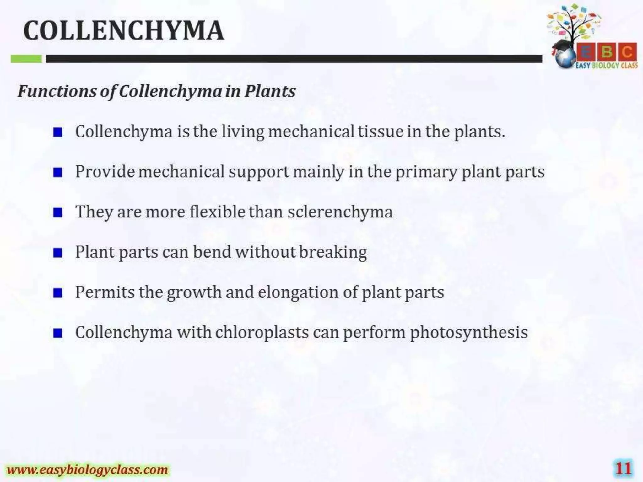 Collenchyma structure-and-classification | PPTX