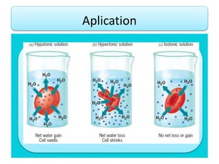 Colligative Properties | PPTX