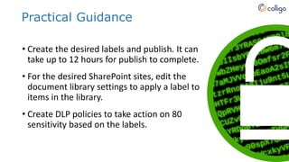 SharePoint and Office 365 Data Compliance Made Easy: Site ...