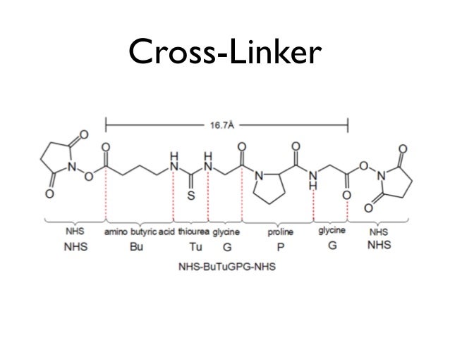 Collision induced dissociative chemical cross-linking reagent for pro…