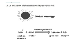 COLLISION THEORY in physical science grade 12.pptx
