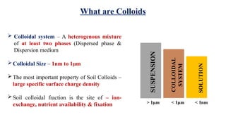 colloidal chemistry in soil science.pptx