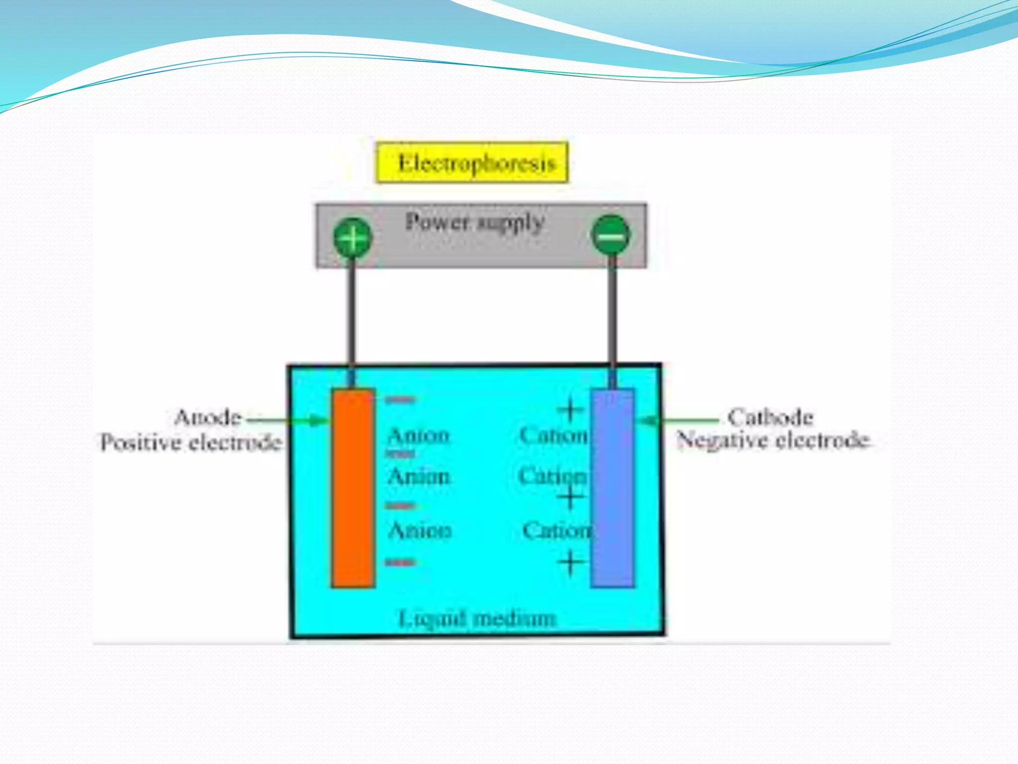Colloidal dispersion | PPTX