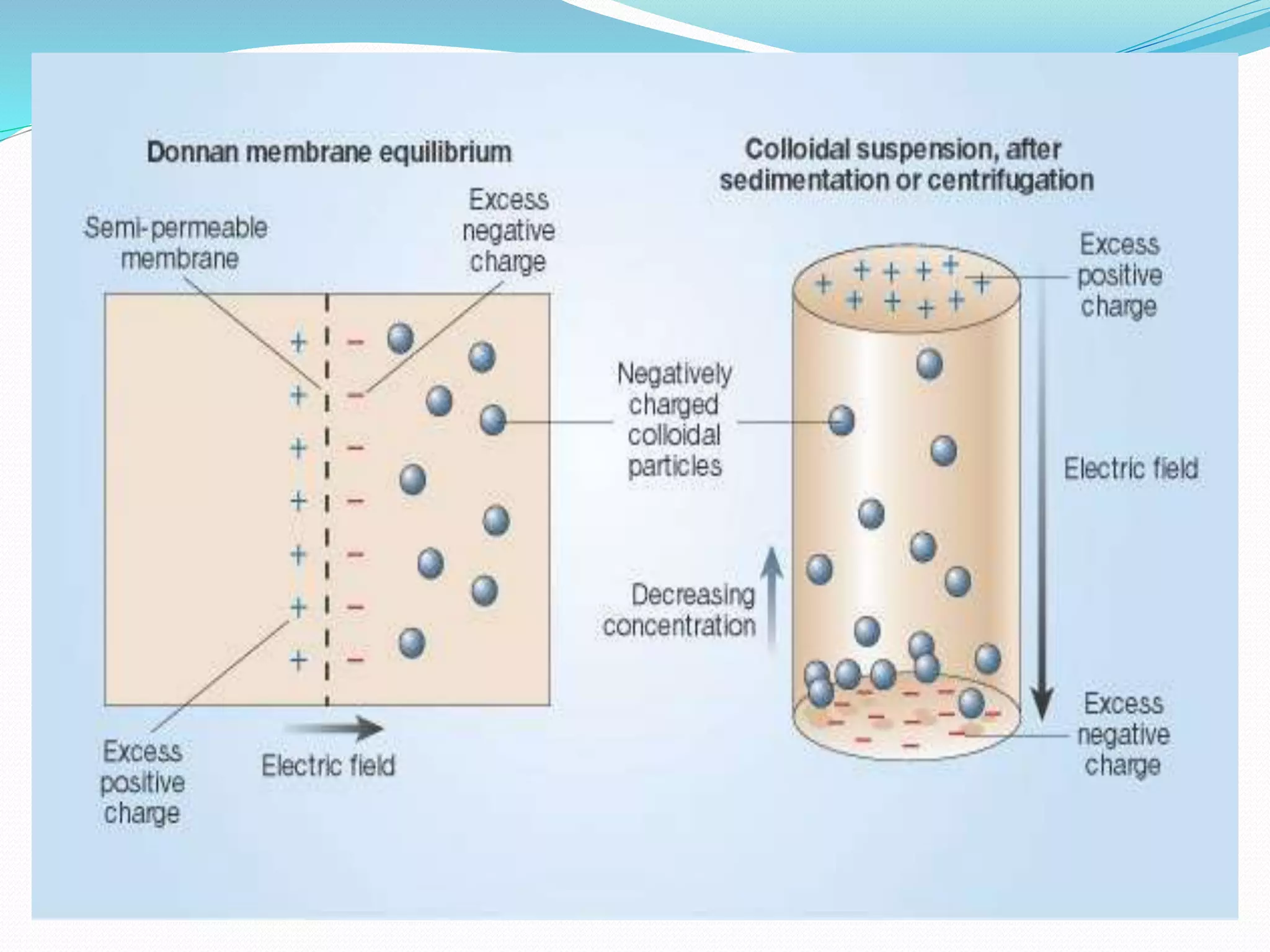 Colloidal dispersion | PPTX