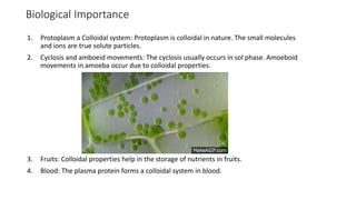 Colloidal state | PPTX