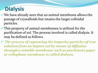 Colloids for 10+2+3 level | PPT