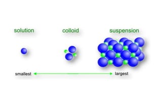 Colloids | PPTX