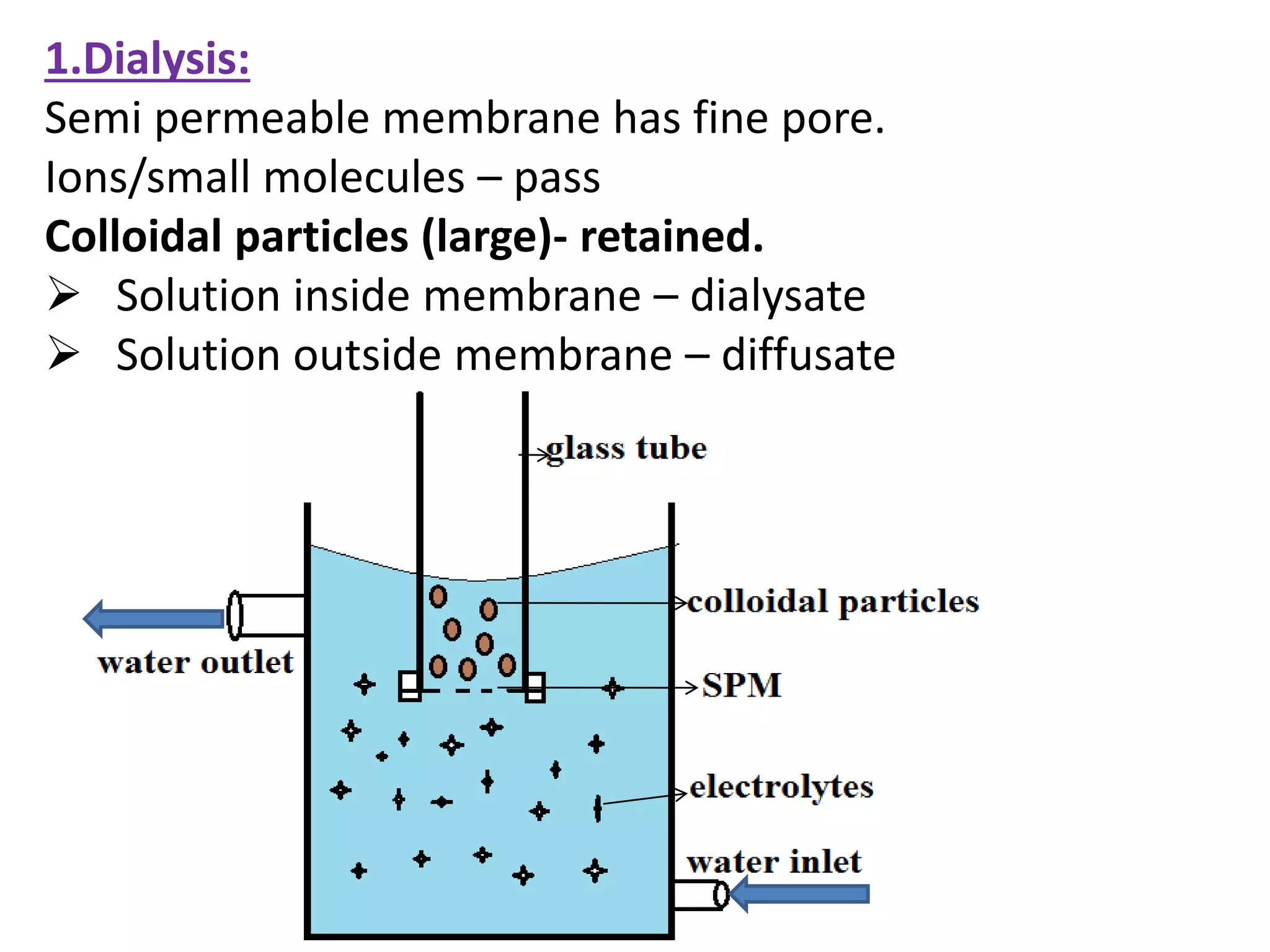 Colloids | PPTX
