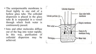 Colloids ...pptx