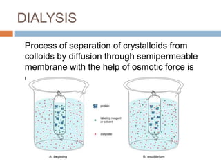 Colloids & Crystalloids | PPTX