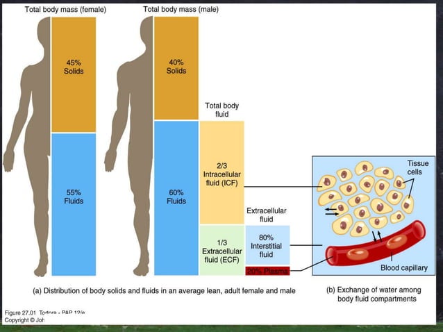 Colloids and thier properties | PPTX | Blood Disorders | Diseases and ...