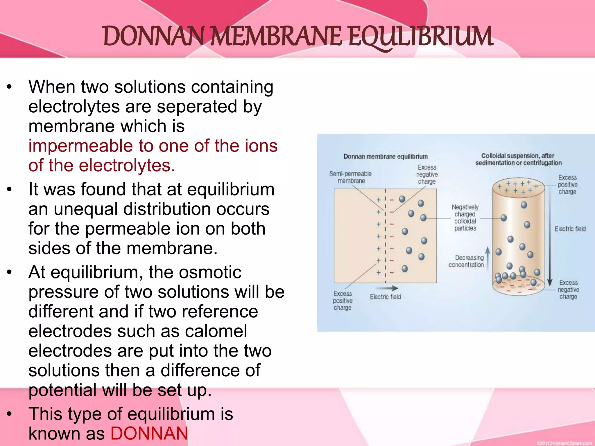 Colloids presentation slides | PPTX