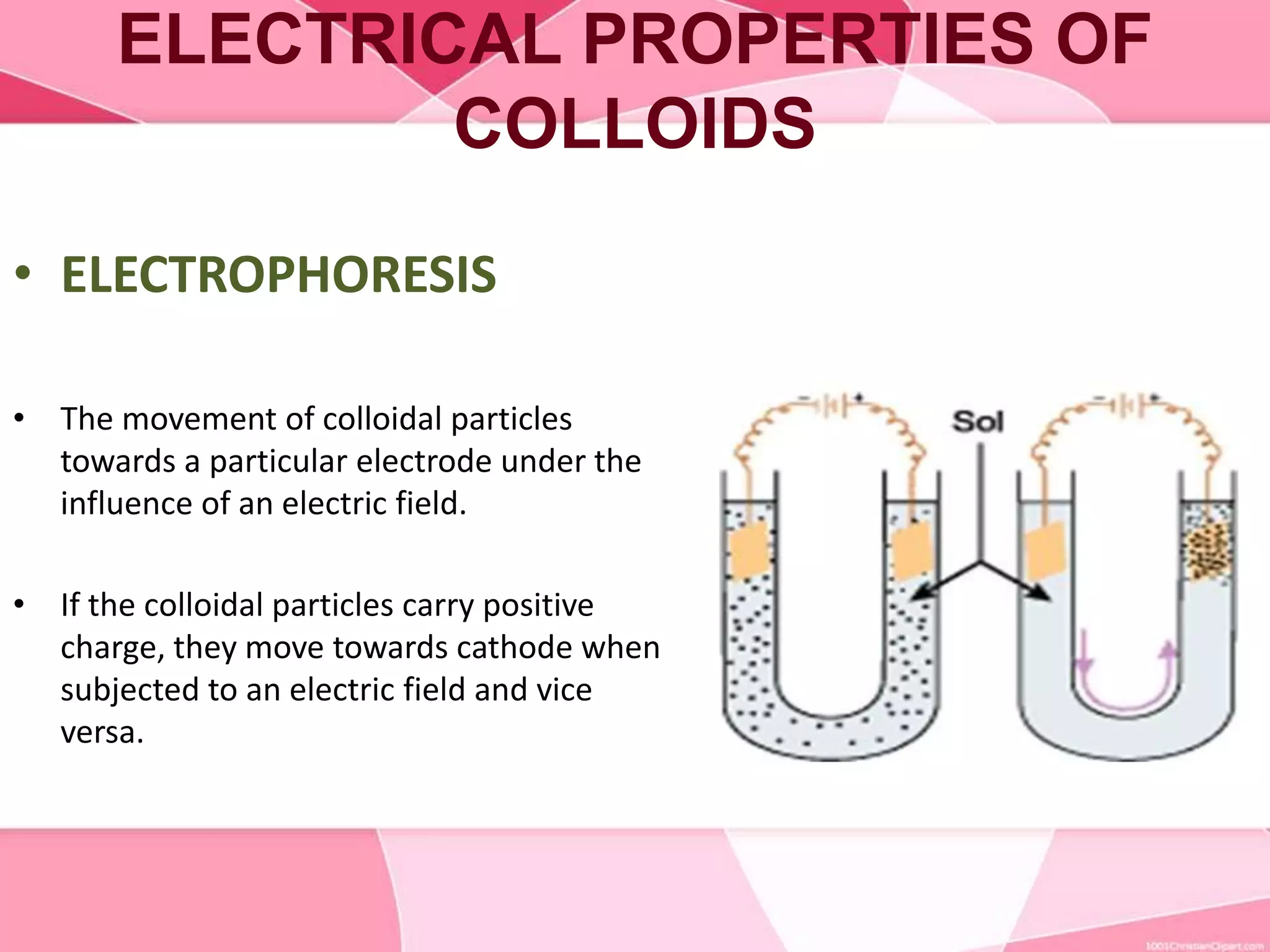 Colloids presentation slides | PPTX