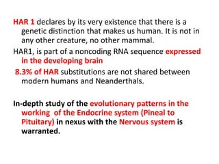 A Subject of Evolution - Homo spiritualis | PPT