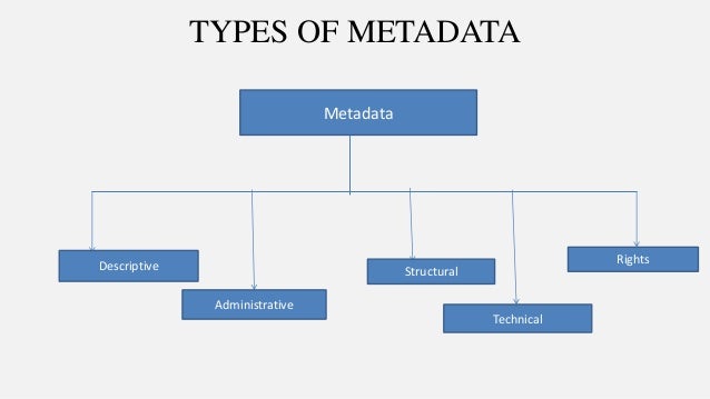 METADATA: A PRACTICE AND ITS SERVICES TOWARDS DIGITAL ENVIRONMENT